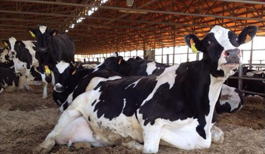 Jornada de puertas abiertas en la planta piloto de tratamiento de ...