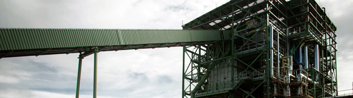 Arranca el funcionamiento de la planta de biomasa de Ence en Mérida ...