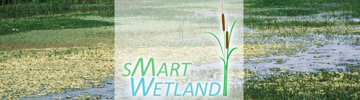 Proyecto SMART WETLAND, integración del tratamiento de aguas residuales con nuevas tecnologías ...