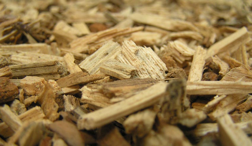 El proyecto DIGIBIO desarrolla una tecnología digital disruptiva para ...