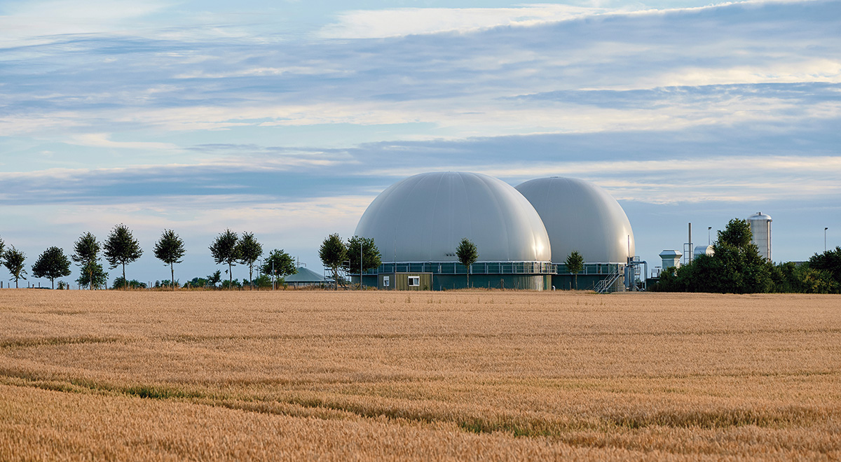 El biogás en clave de transición energética, economía circular, … y ...