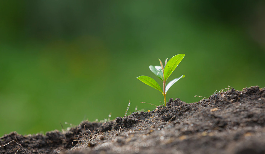 La EBA lanza una guía para impulsar la producción de biohidrógeno en ...