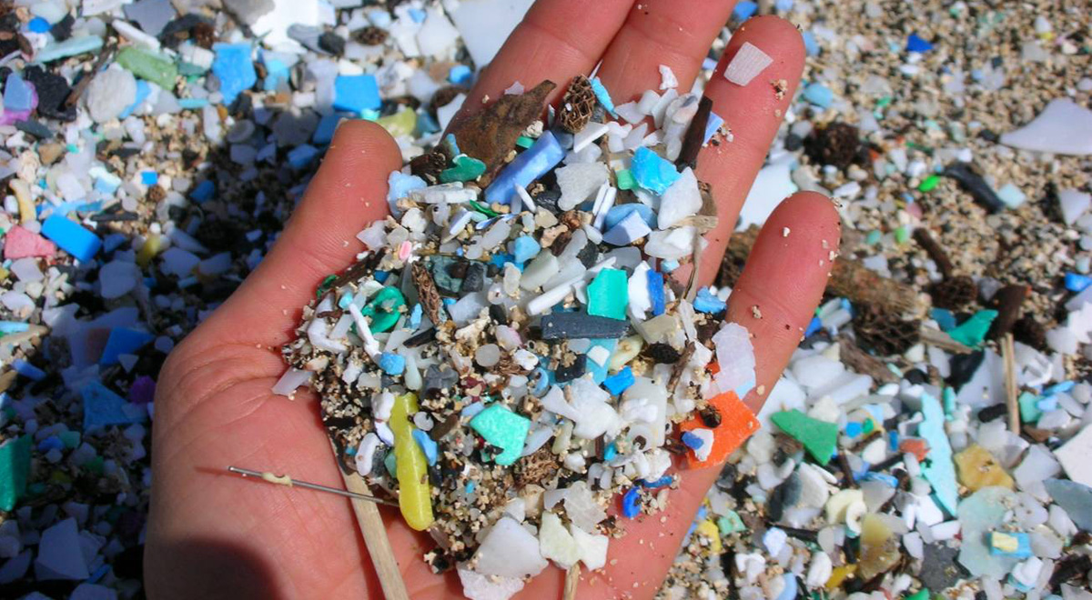 La amenaza global de los microplásticos, bajo la lupa | RETEMA