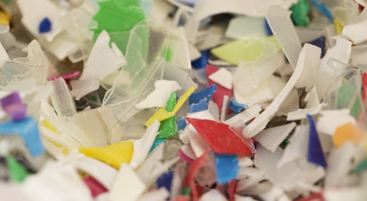 Los microplásticos llegan hasta los ecosistemas naturales de todo el ...