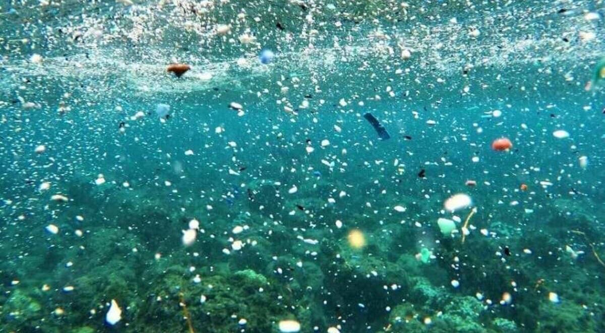 La UPC trabaja para reducir la contaminación por microplásticos en ...