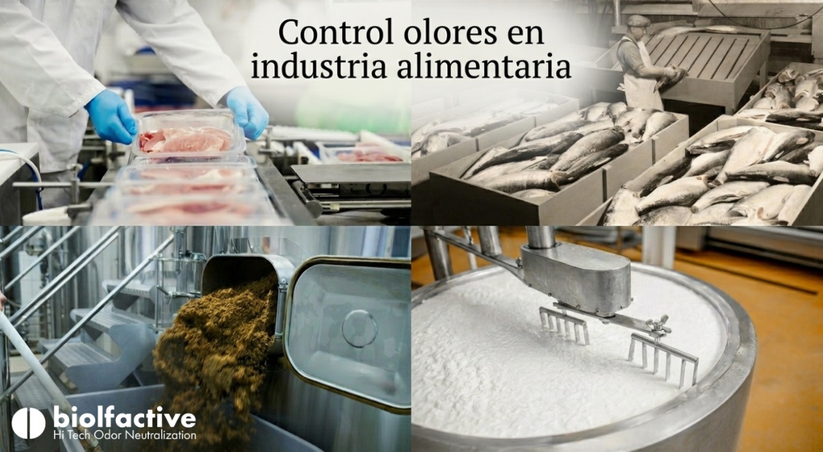 Control de olores en industria alimentaria: fases que más olor generan ...
